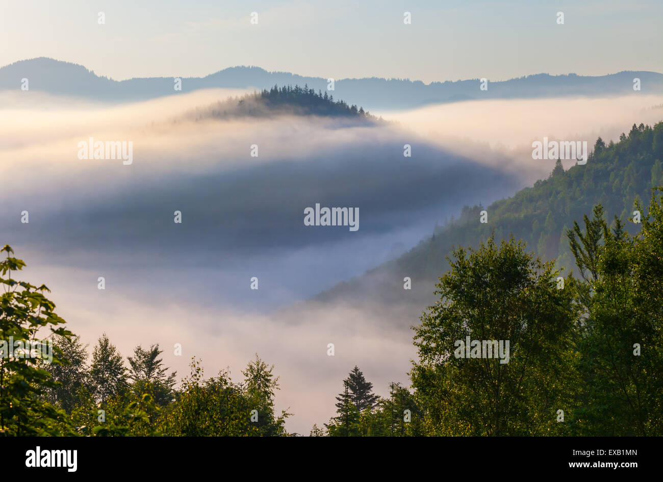 Beautiful sunrise with the morning mist. Ukraine Stock Photo - Alamy