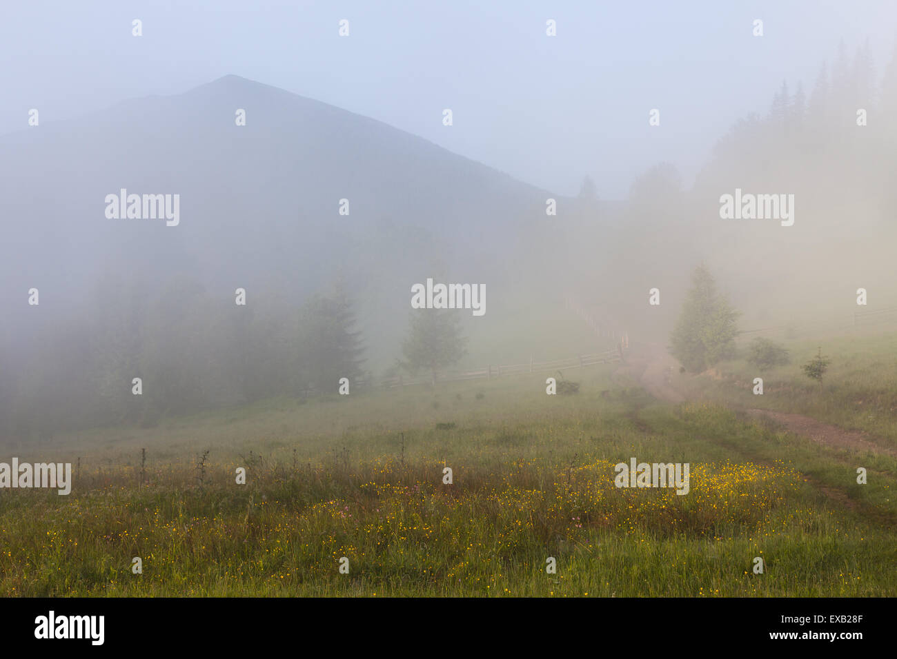 Beautiful sunrise with the morning mist. Ukraine Stock Photo - Alamy