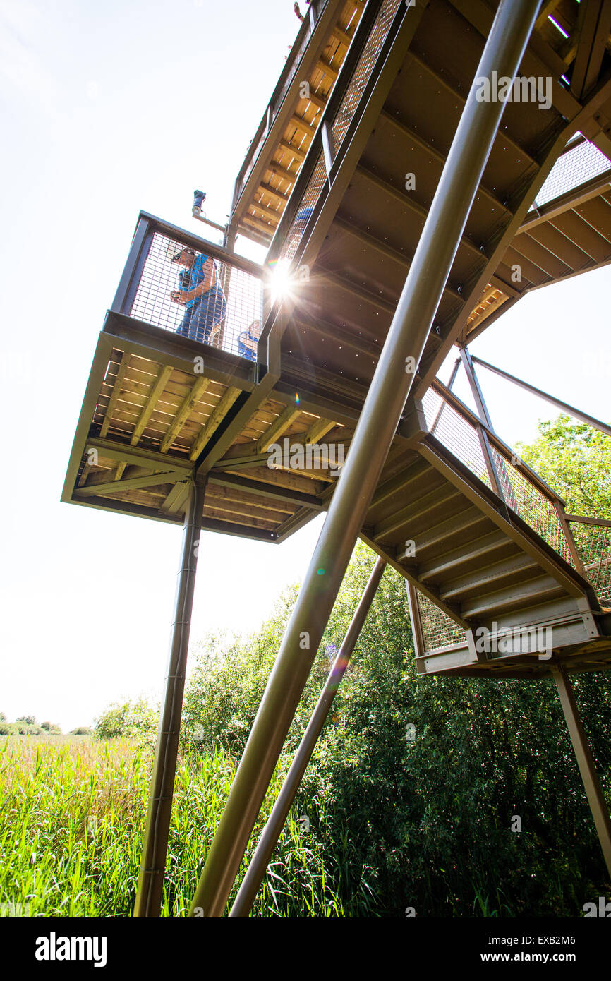 Details of the Sky Tower viewing platform at the RSPB Leighton Moss ...