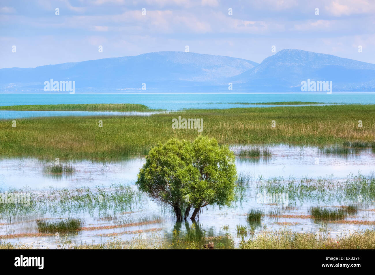 Idyllic scenery hi-res stock photography and images - Alamy