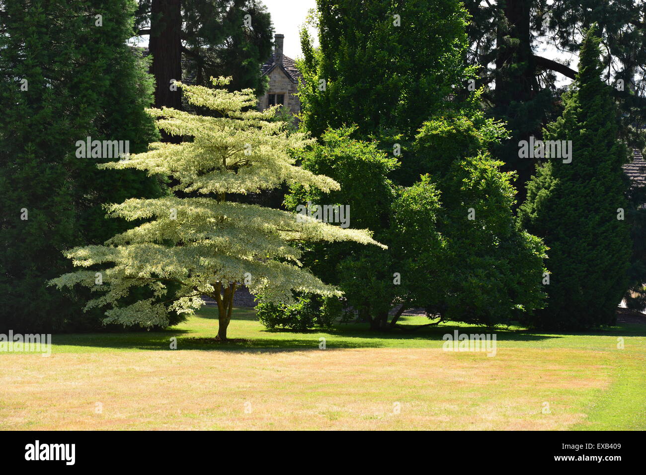 Wakehurst Place in West Sussex Stock Photo - Alamy
