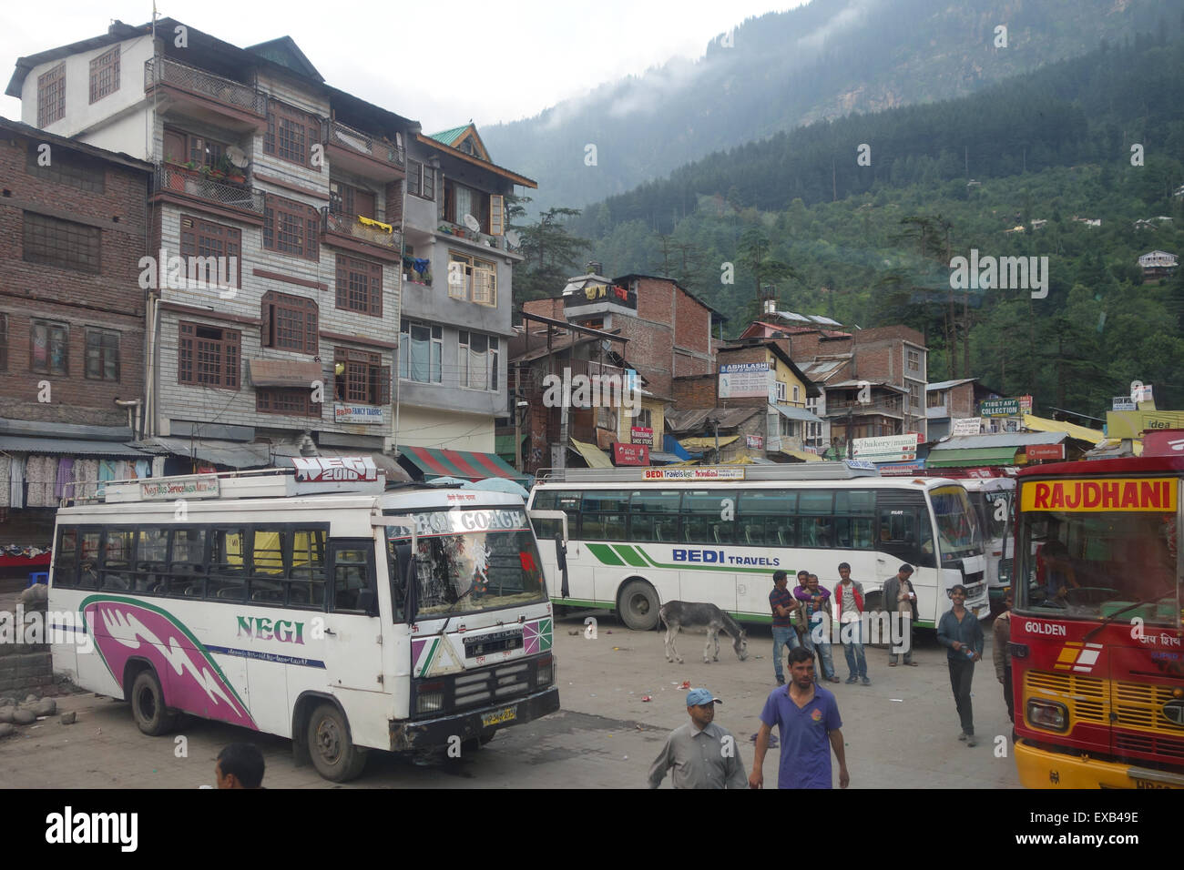 Donkey standing by bus stand in the popular tourist town of Manali ...