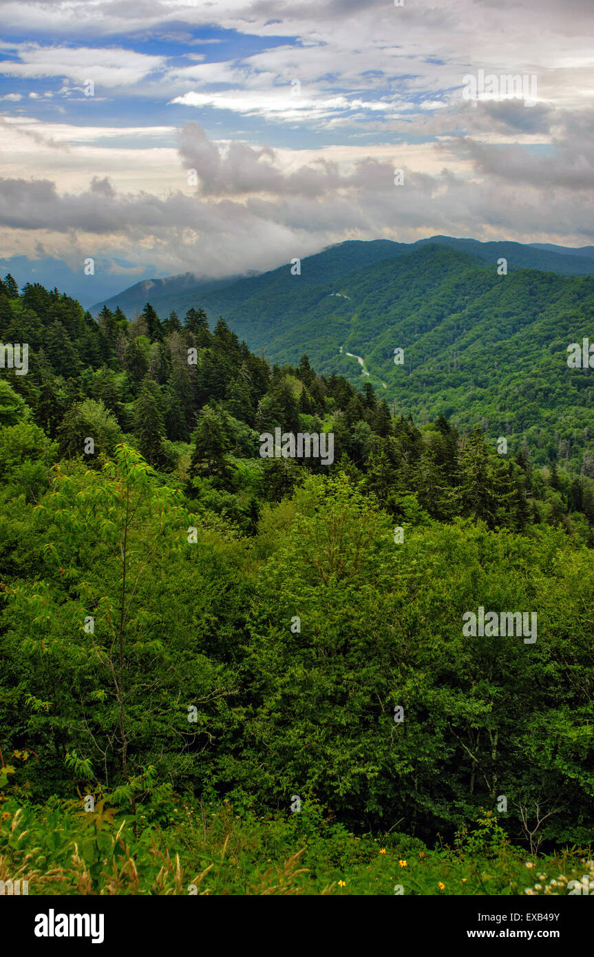 Vertical exploration hi-res stock photography and images - Alamy