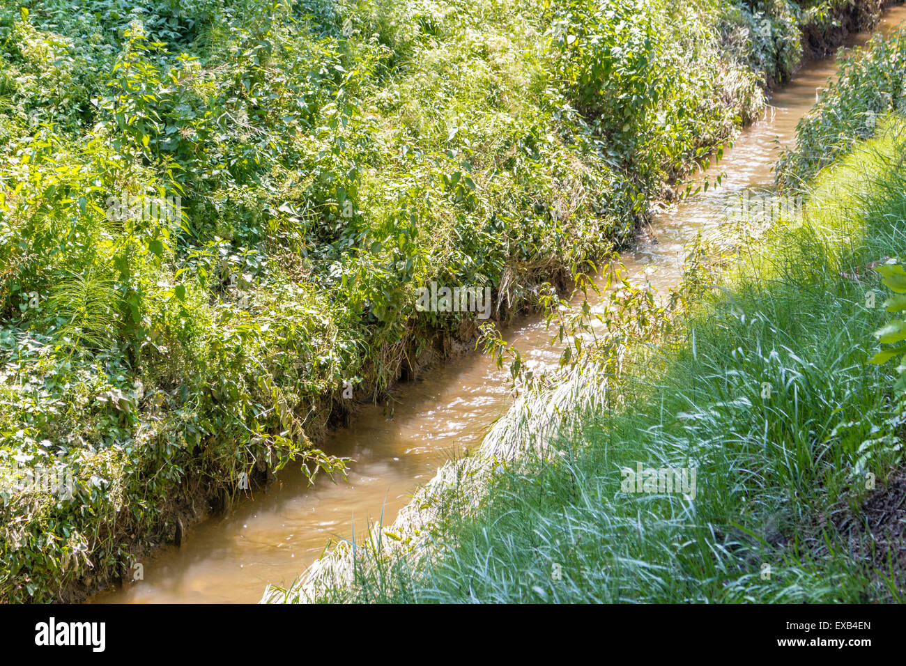 Muddy stream hi-res stock photography and images - Alamy