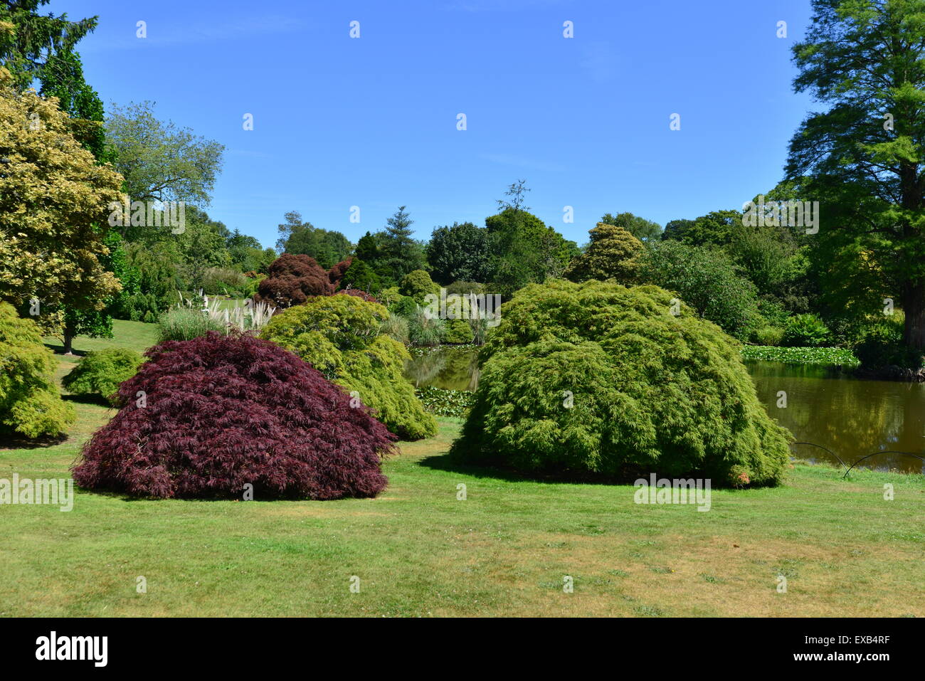 Wakehurst Place in West Sussex Stock Photo - Alamy