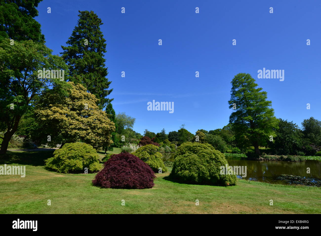 Wakehurst Place in West Sussex Stock Photo - Alamy