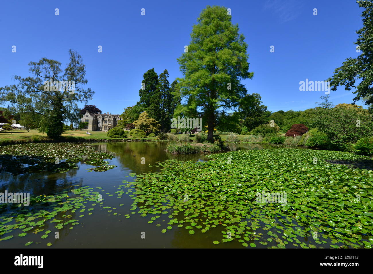 Wakehurst place lake hi-res stock photography and images - Alamy