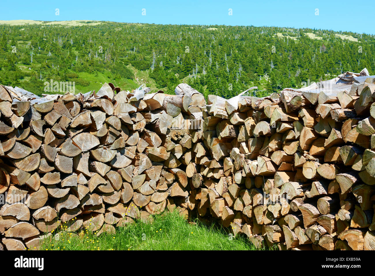 Stack Of Fire Wood Stock Photo - Alamy