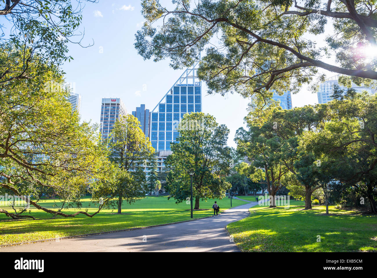 Domain, Sydney, Australia Stock Photo - Alamy