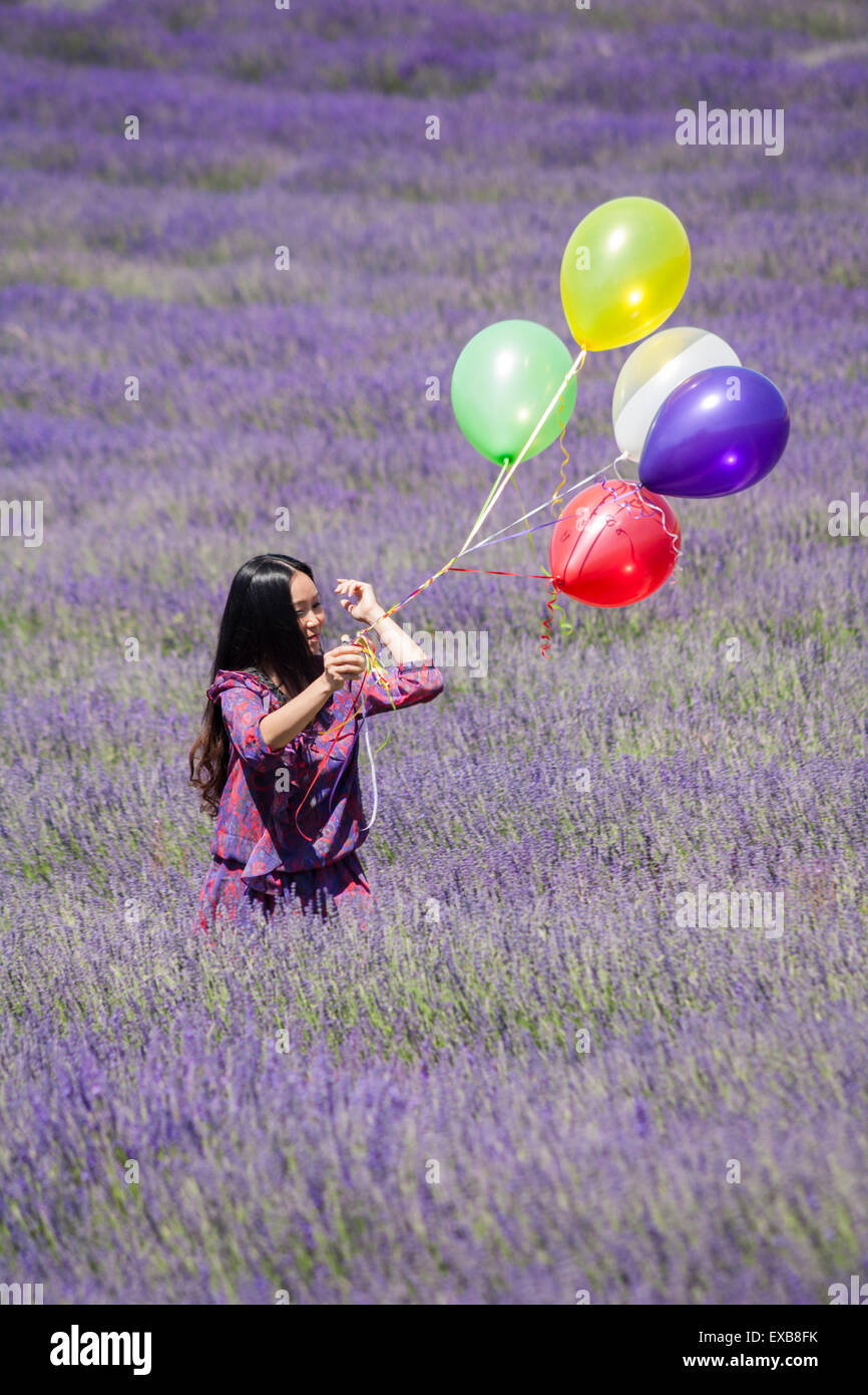 Lordington Lavender Farm, Lordington, Chichester, West Sussex, UK. 10th ...