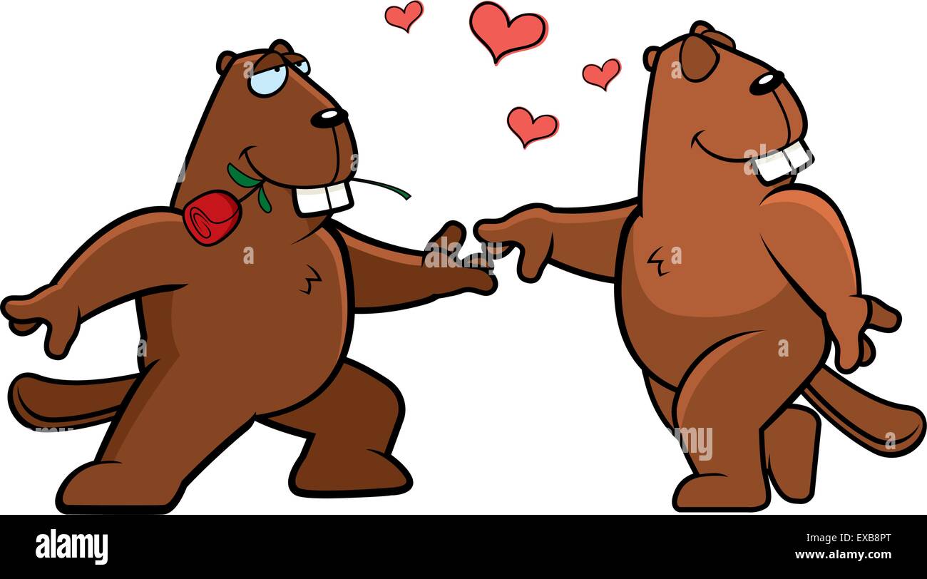 Two cartoon beavers happy and in love Stock Vector Image & Art - Alamy