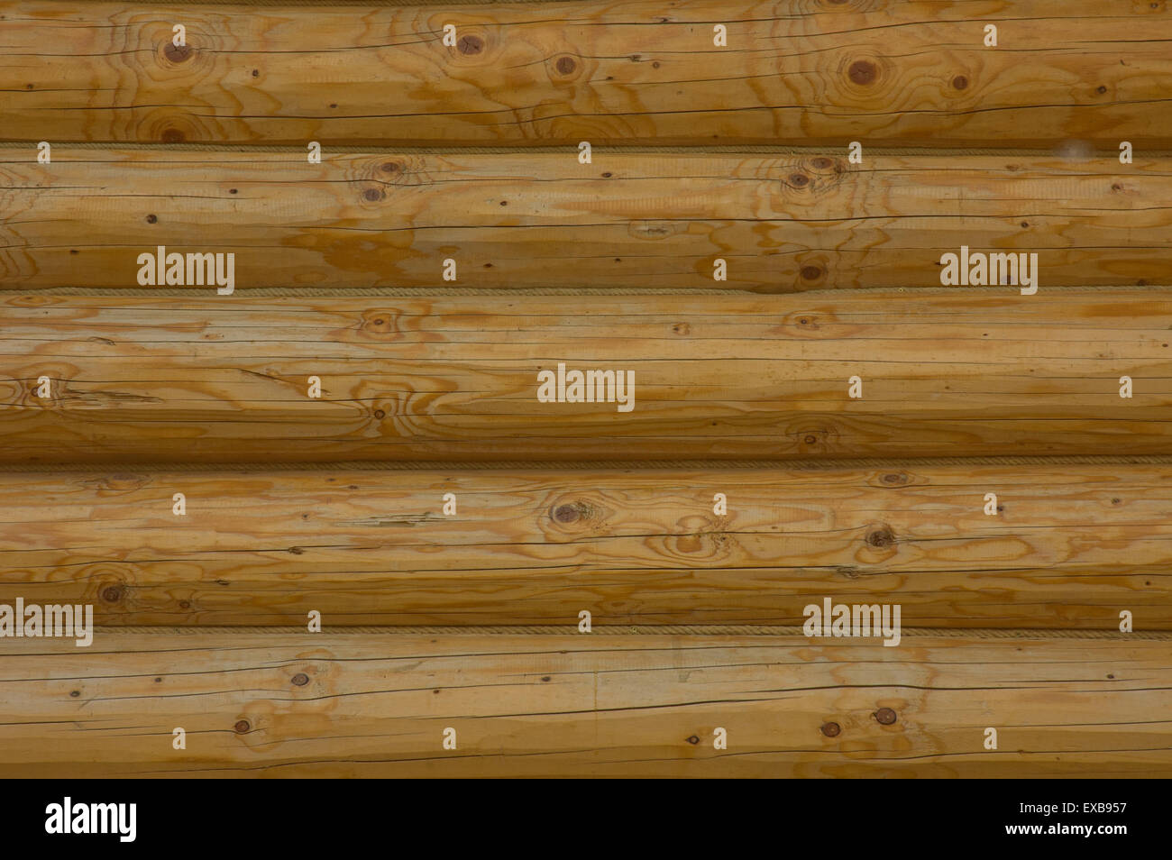 Treated wood texture hi-res stock photography and images - Alamy