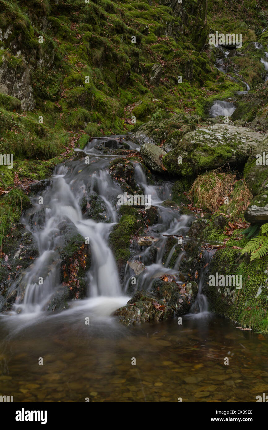Falling water through tree hi-res stock photography and images - Alamy
