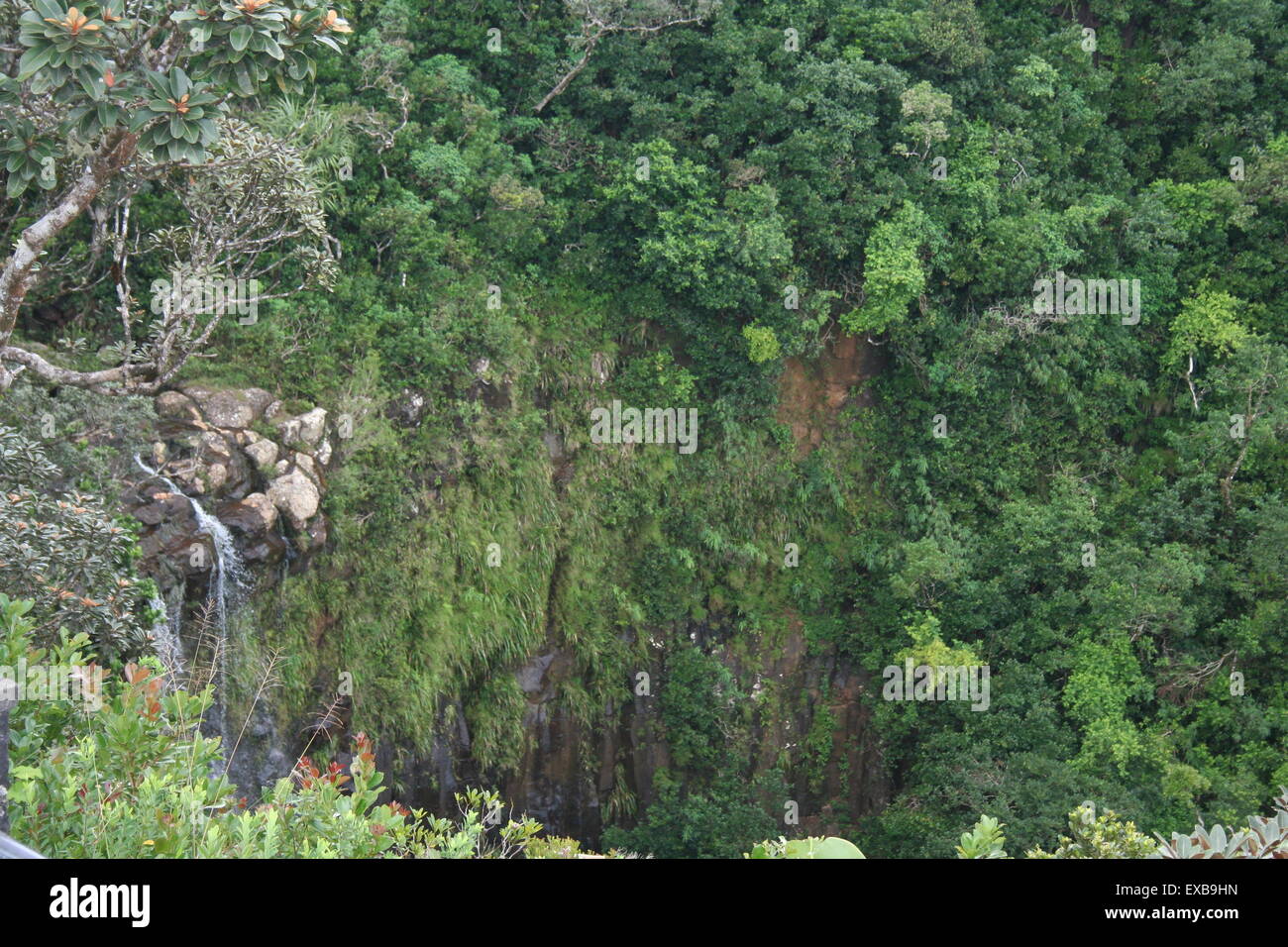 Alexandra mauritius hi-res stock photography and images - Alamy