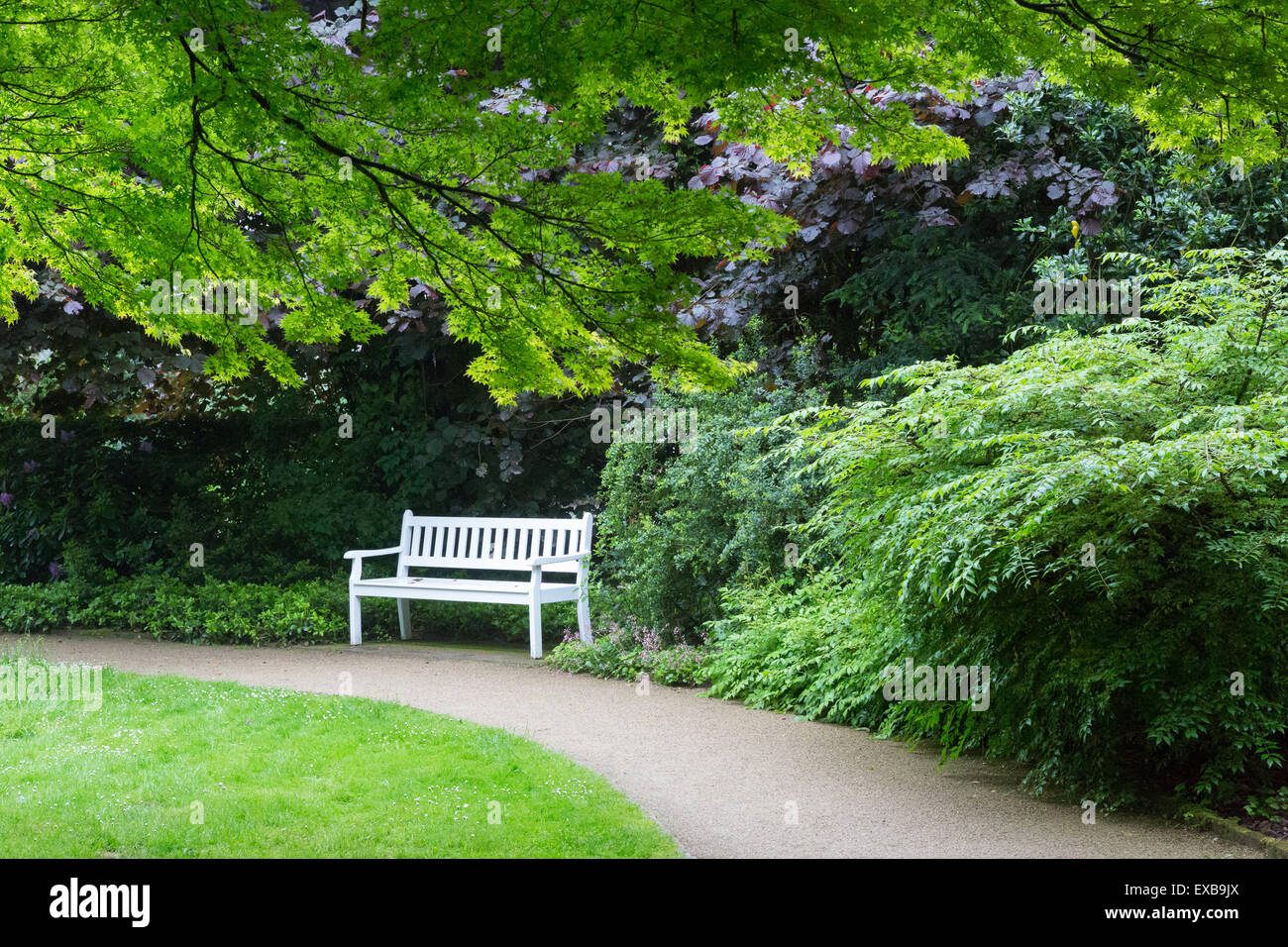 A white park bench in amongst colourful tress and shrubs in the ...