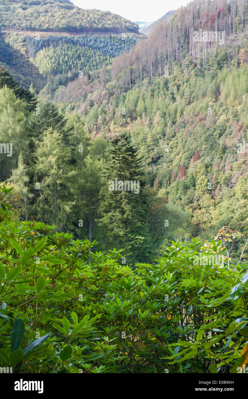 Hafod estate wales october hi-res stock photography and images - Alamy