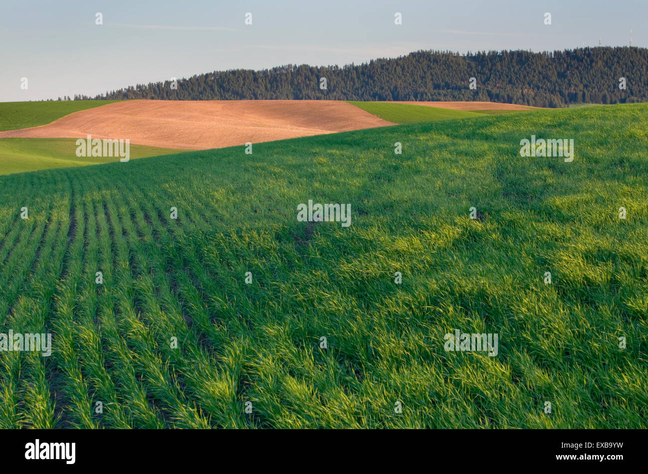 Inland empire washington hi-res stock photography and images - Alamy