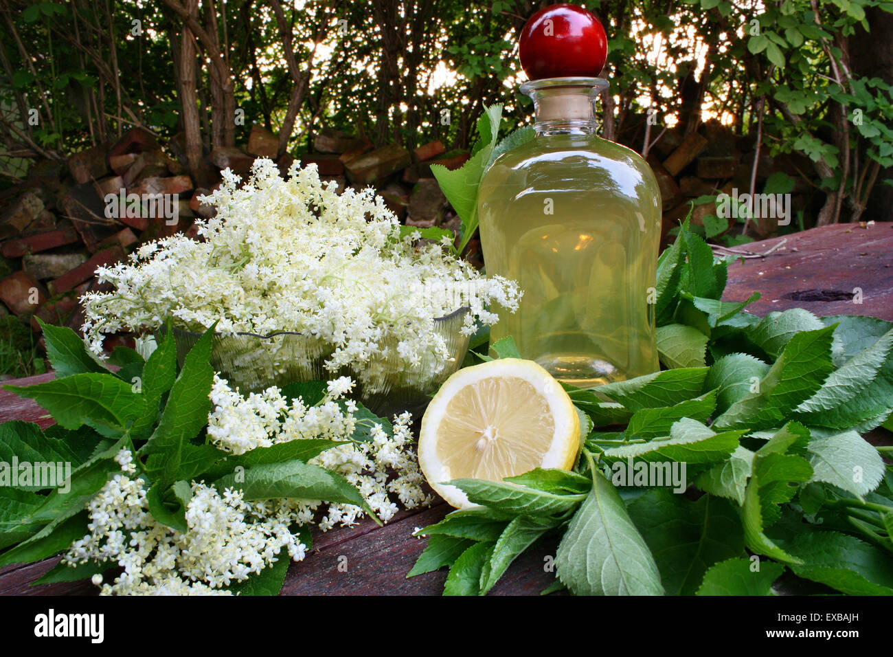 Syrup of flowers elderberry the setting sun Stock Photo - Alamy