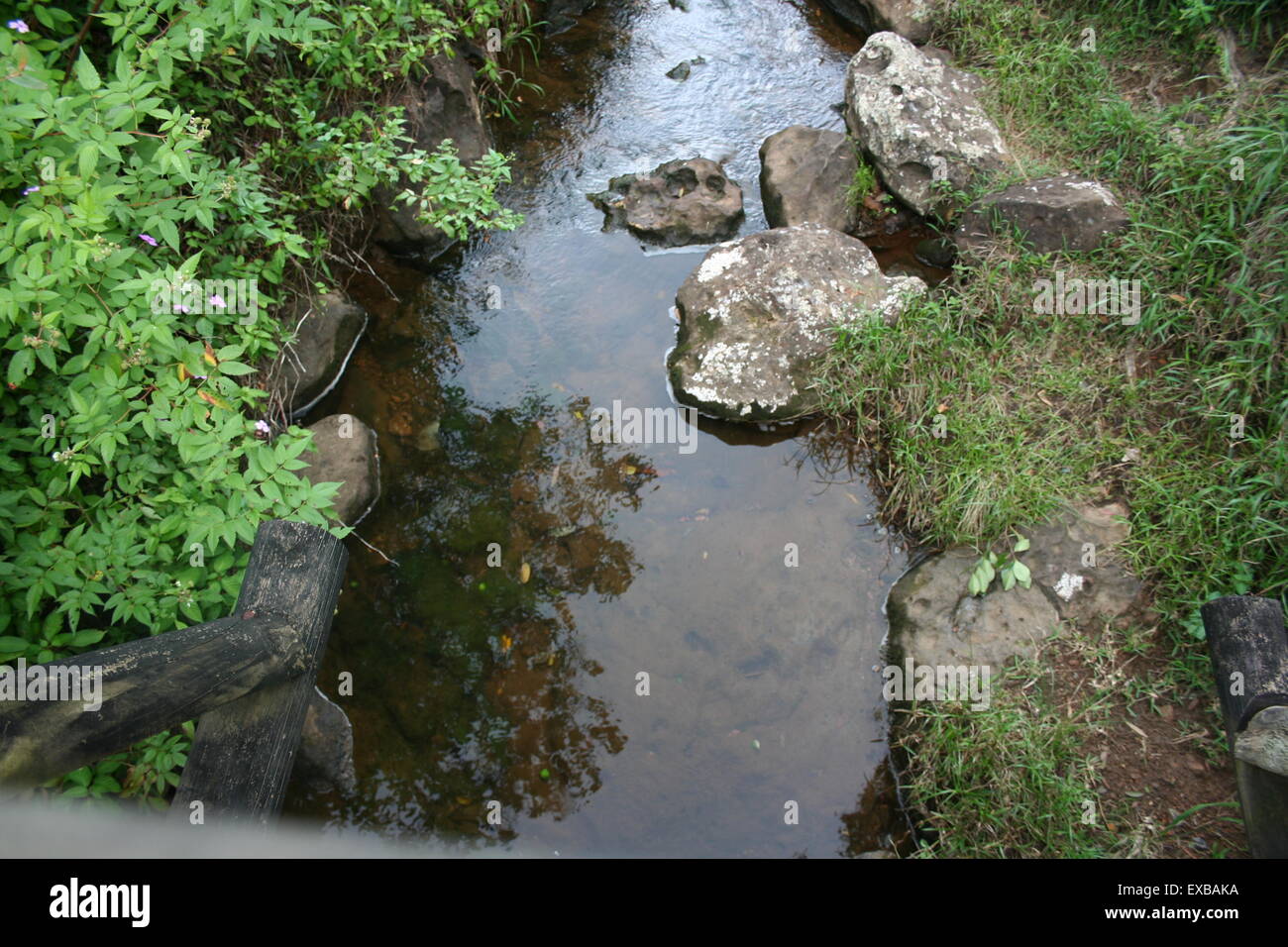 Small_river hi-res stock photography and images - Alamy