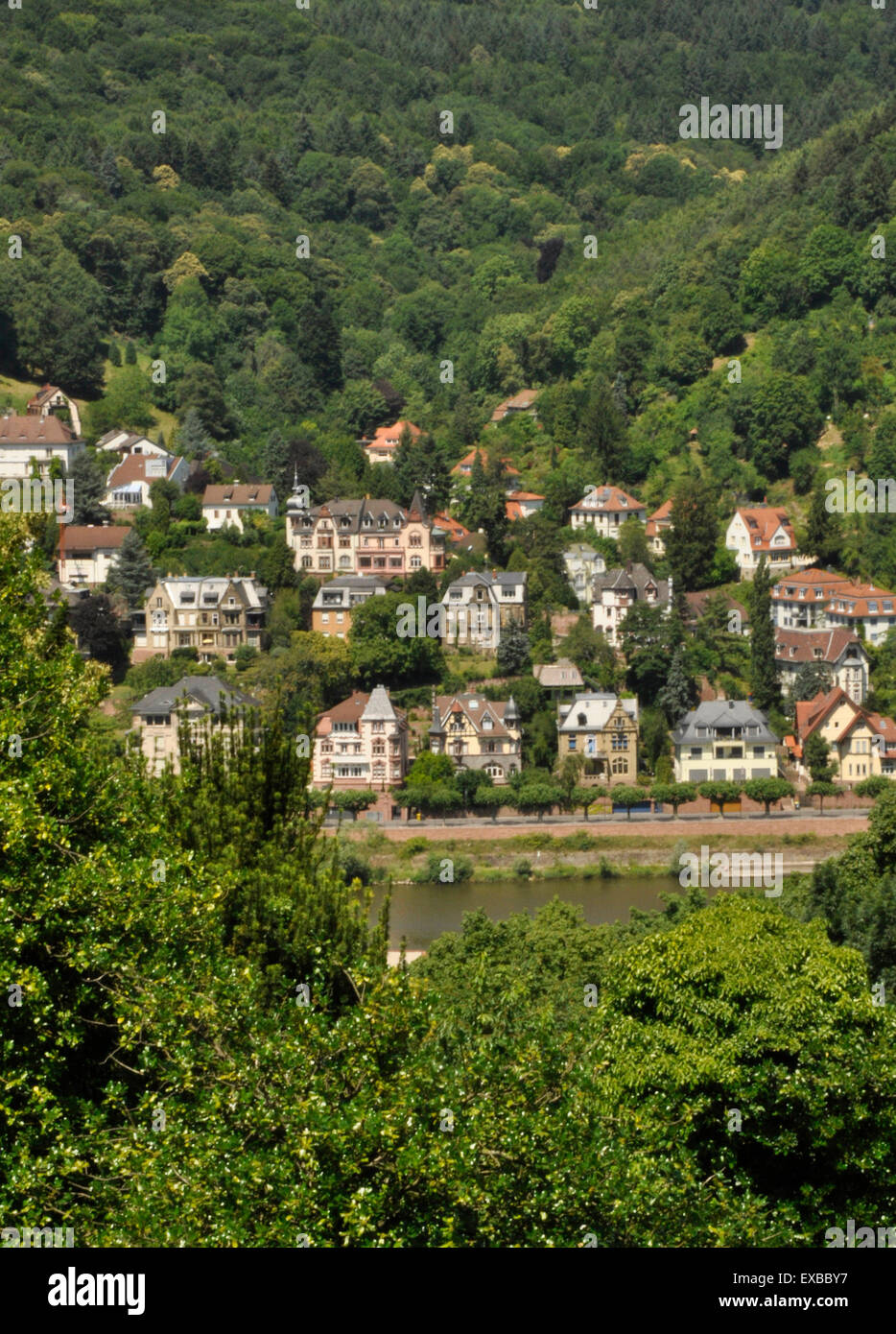 Heidelberg houses hi-res stock photography and images - Alamy