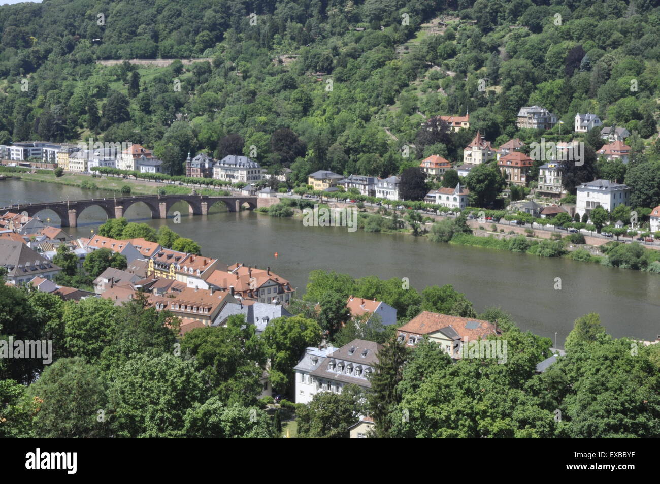 river neckar heidelberg Stock Photo - Alamy