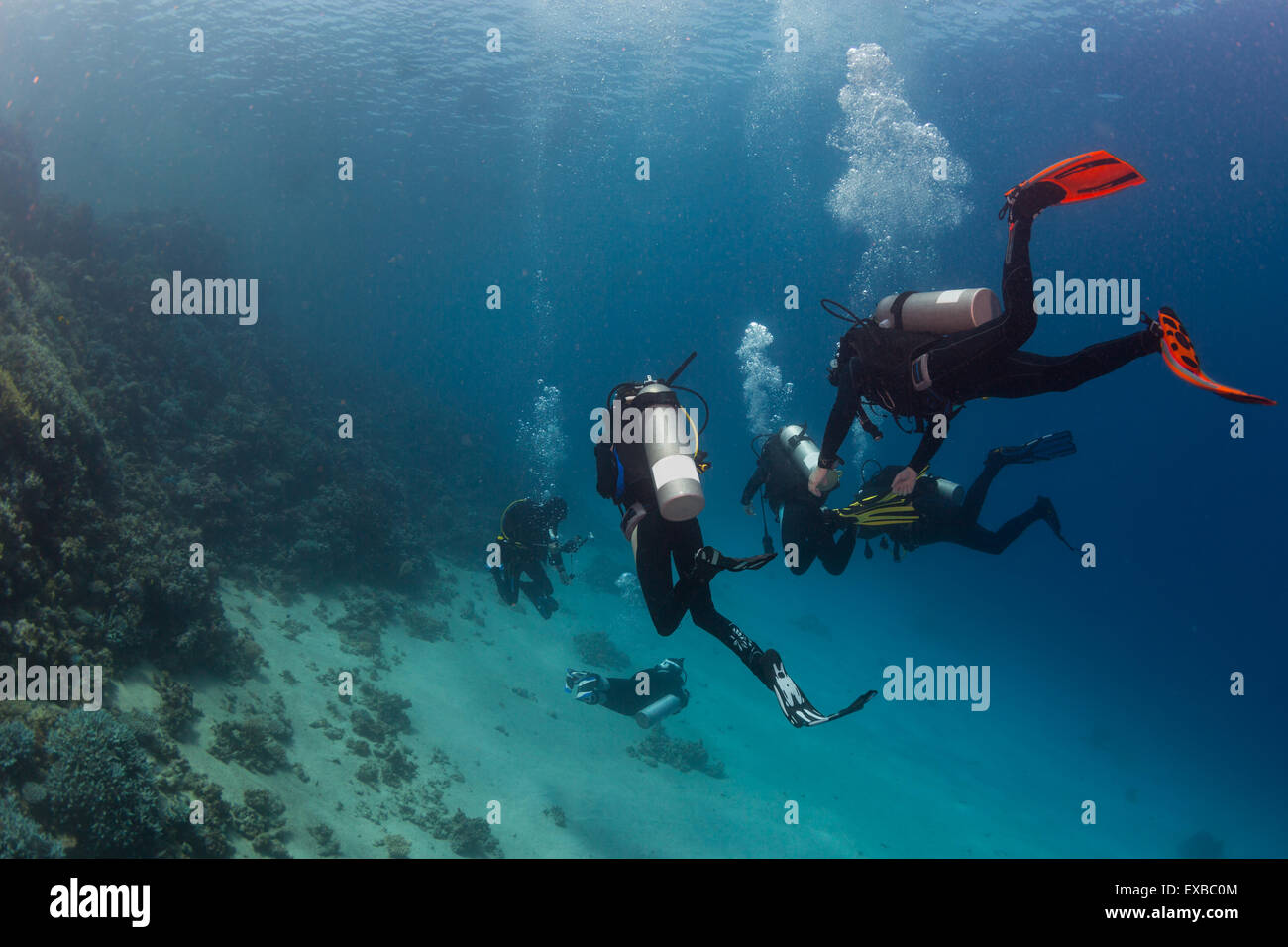 Reaf view hi-res stock photography and images - Alamy