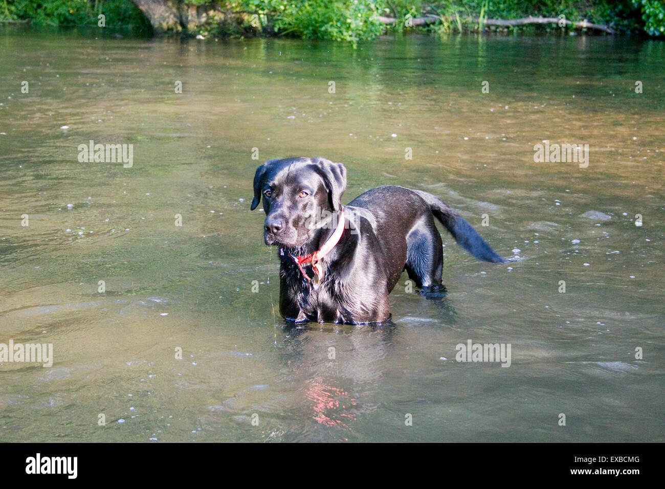 Andoho34d hi-res stock photography and images - Alamy