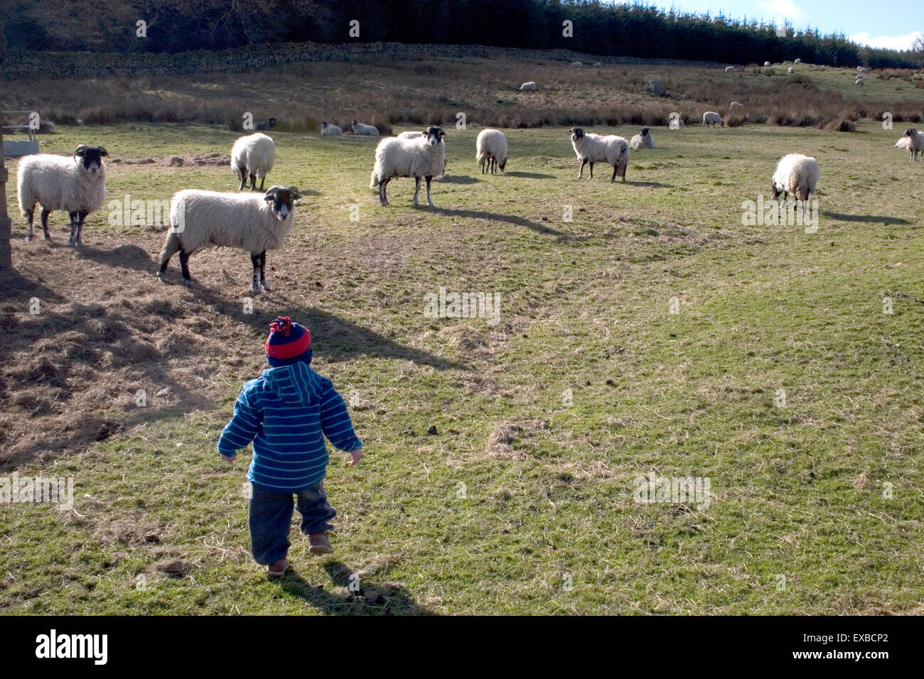 Inhoco53d hi-res stock photography and images - Alamy