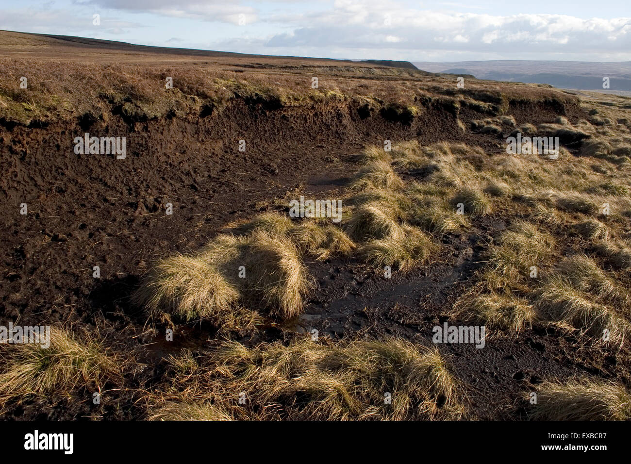 Teesdale hi-res stock photography and images - Alamy
