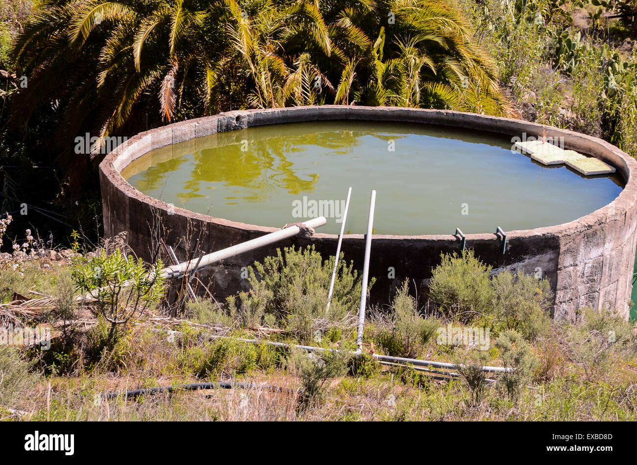 Round Water Pond Stock Photo - Alamy
