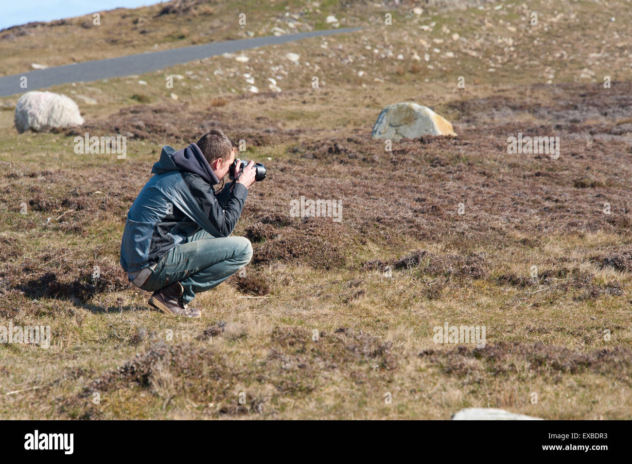 Boy taking pictures in Ireland Stock Photo - Alamy