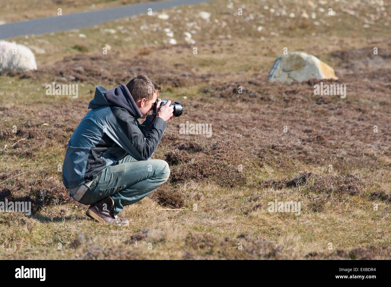 Pictures of ireland hi-res stock photography and images - Alamy