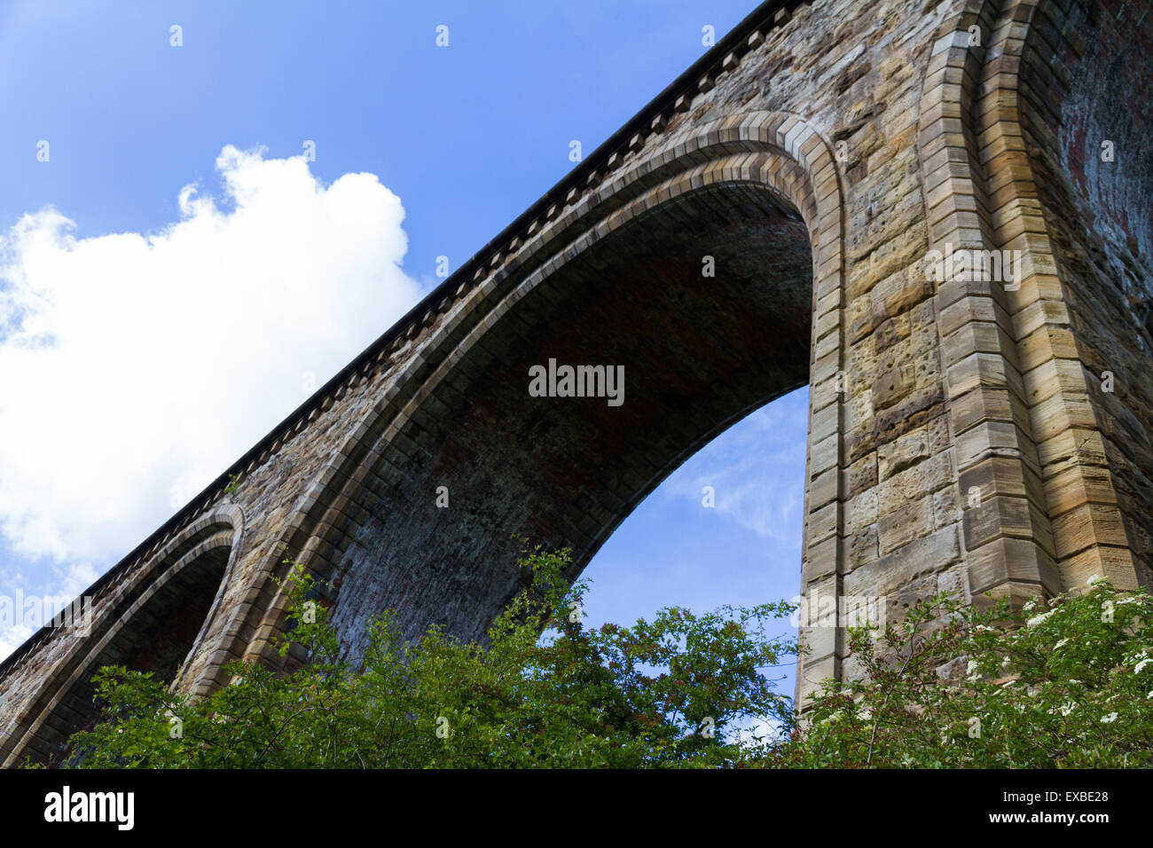 Looking up at the Cefn railway viaduct at Ty Mawr Country Park, Wrexham ...