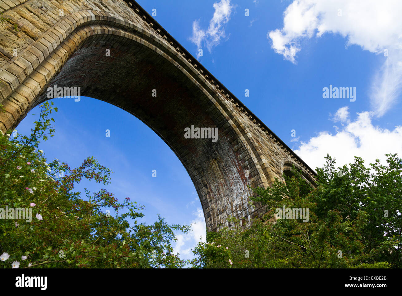 An arch of the Cefn railway viaduct at Ty Mawr Country Park, Wrexham ...