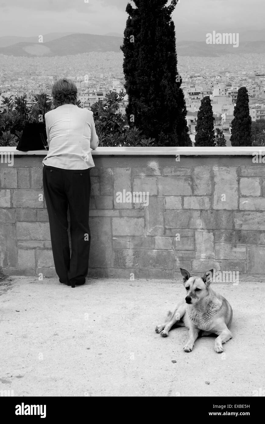 Tourist and stray dog on the Acropolis, Athens, Greece Stock Photo - Alamy