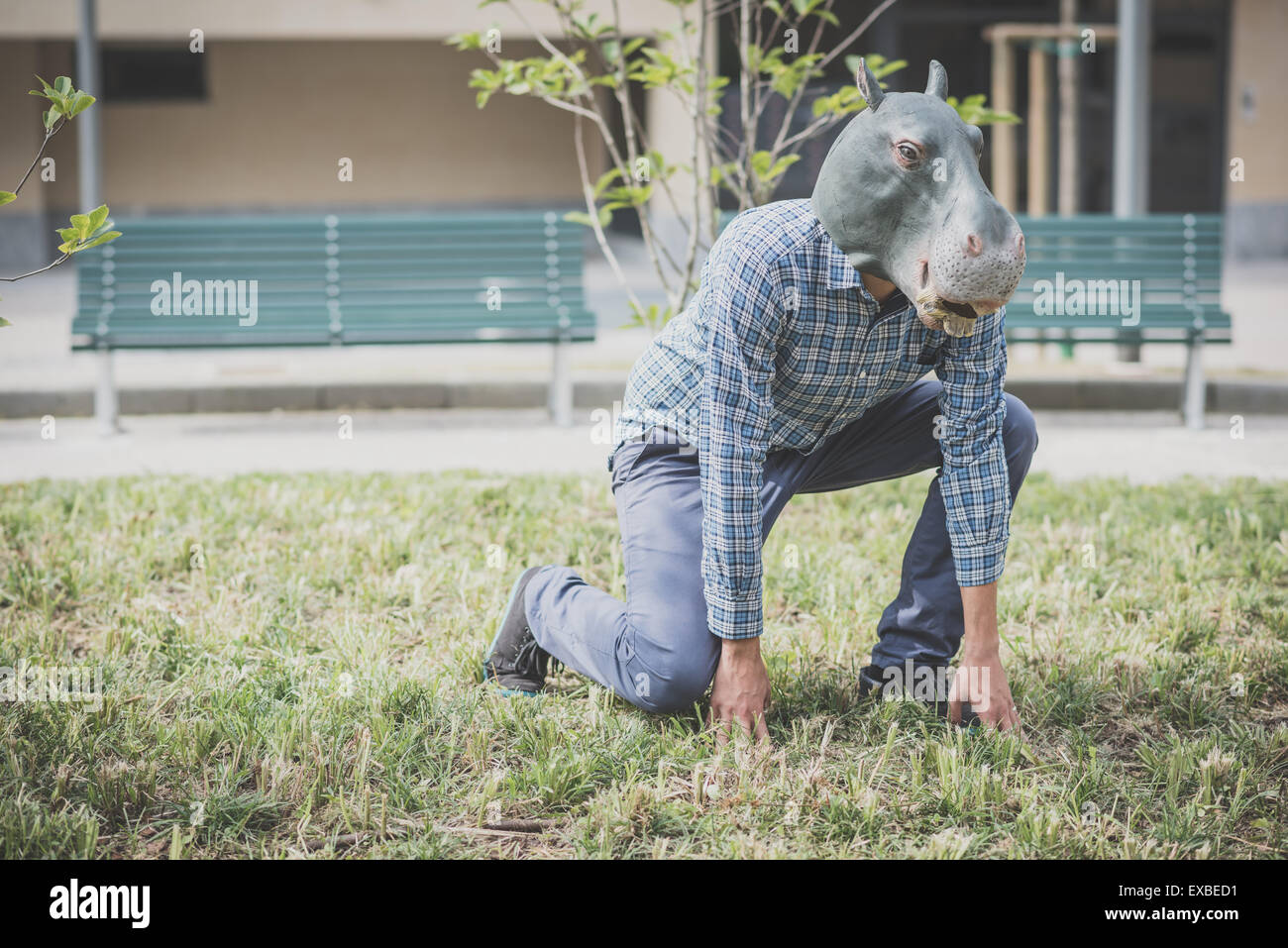 hippo mask absurd man in the city Stock Photo - Alamy