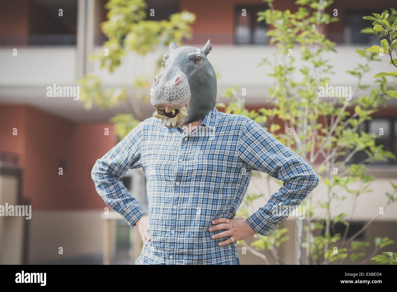 Hippo mask hi-res stock photography and images - Alamy