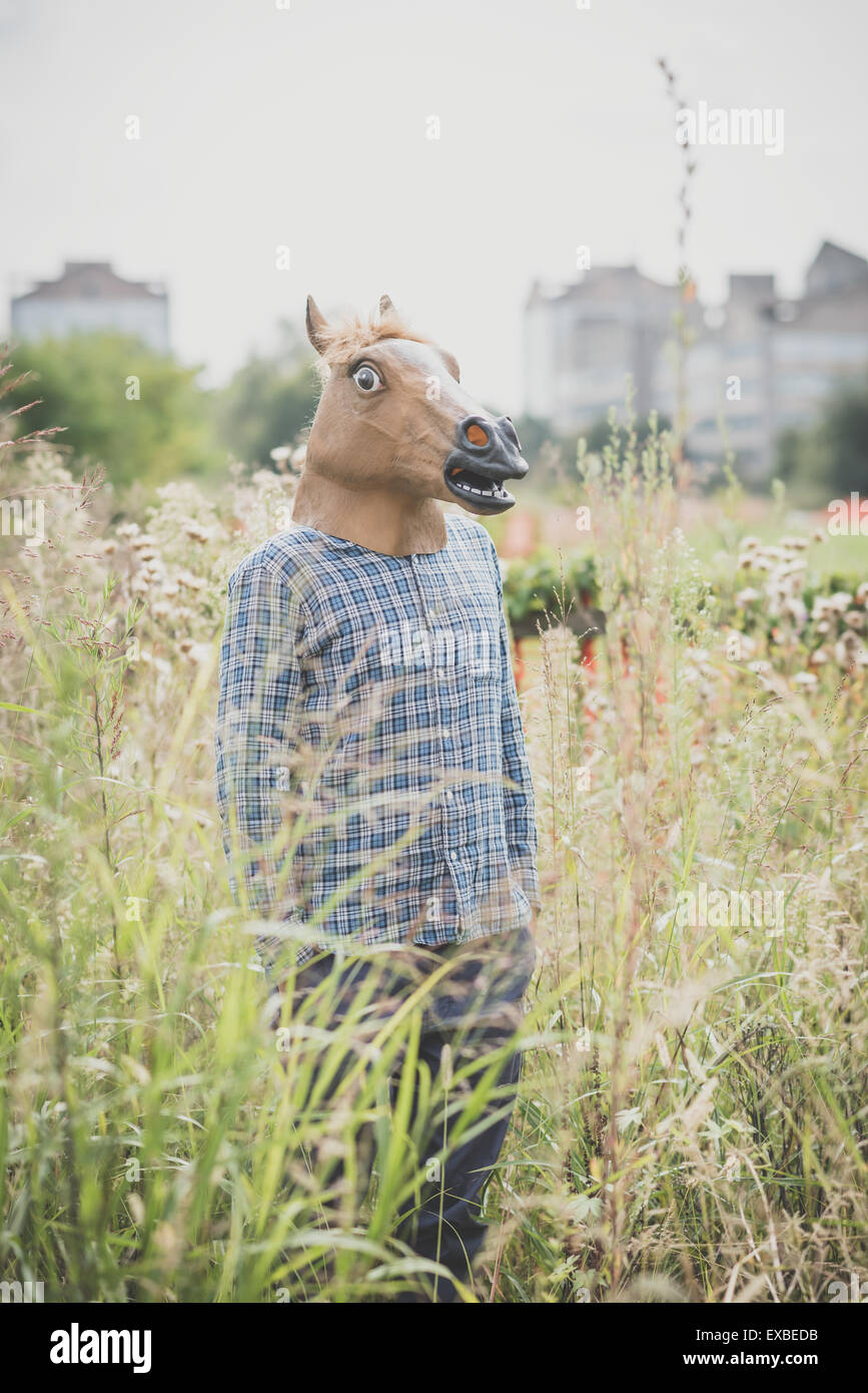 horse mask absurd man in the grass Stock Photo - Alamy