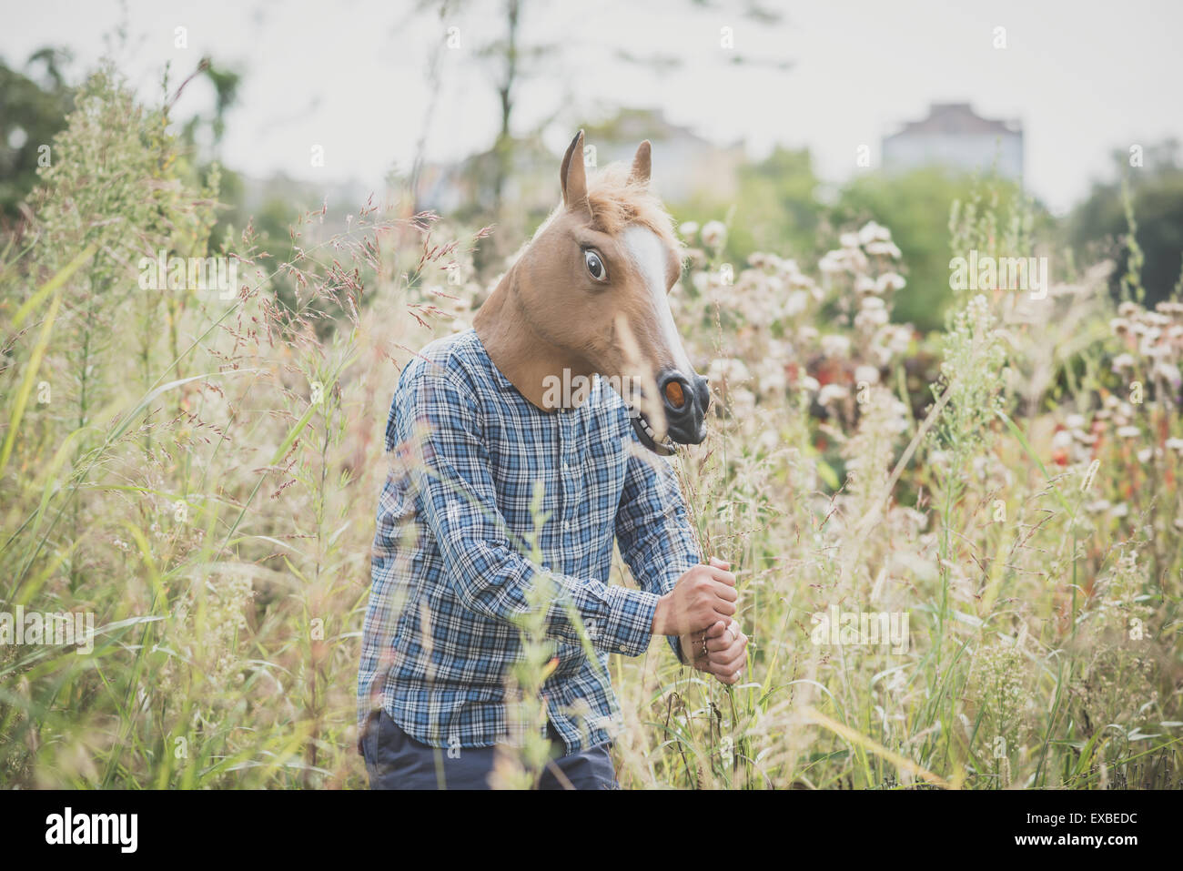 Absurd hi-res stock photography and images - Alamy