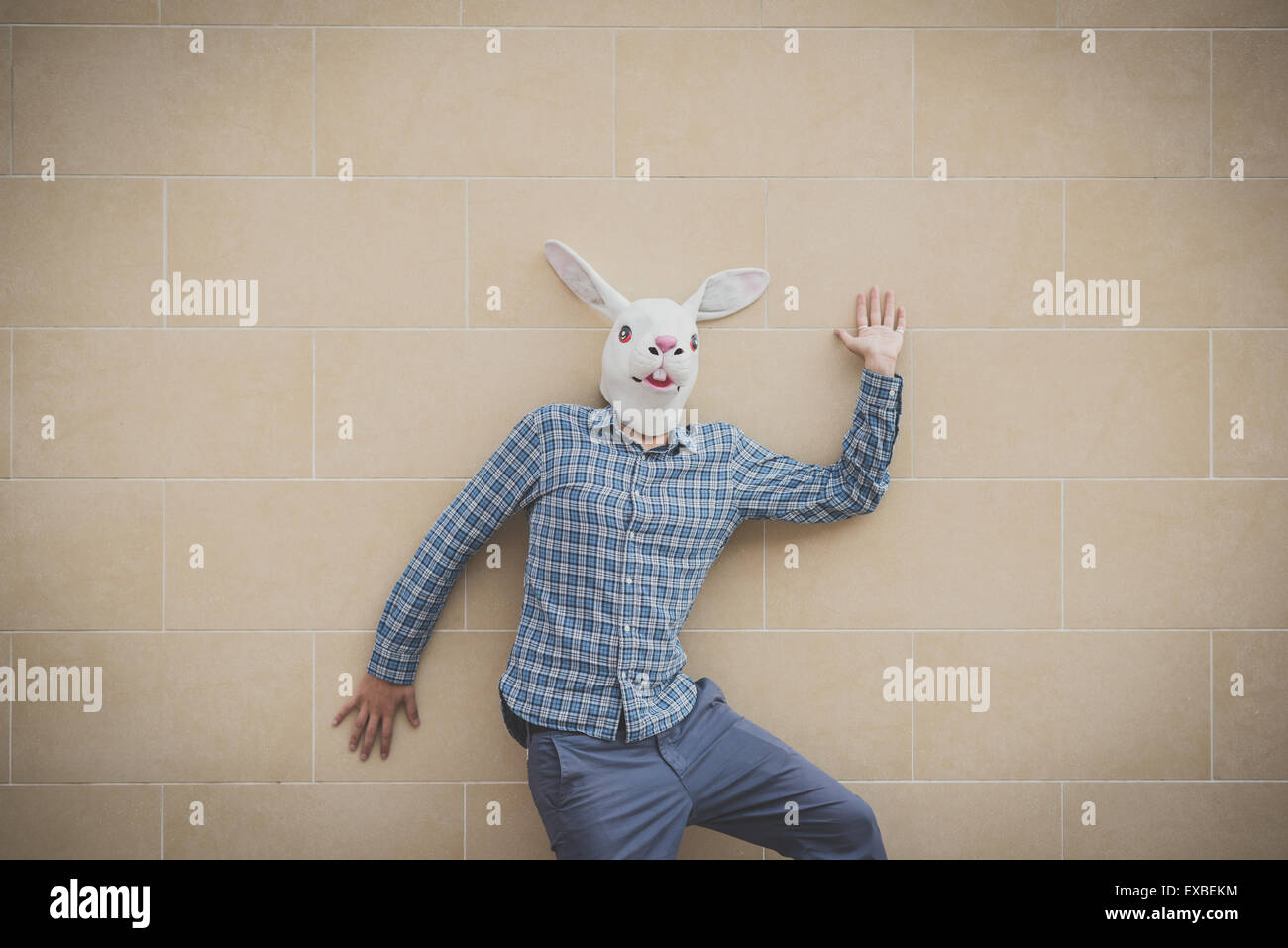 Man with rabbit mask hi-res stock photography and images - Alamy