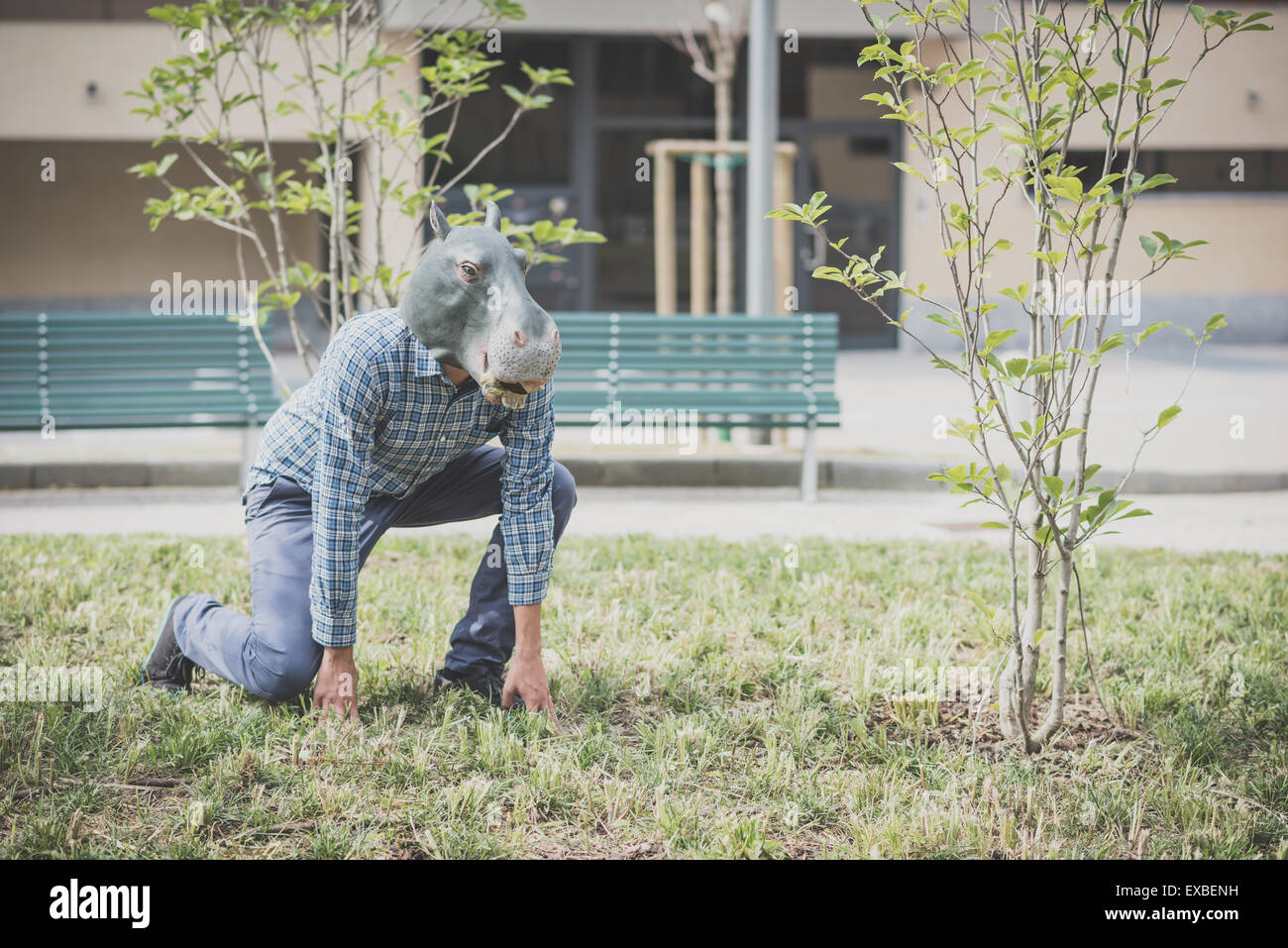 Hippo mask hi-res stock photography and images - Alamy