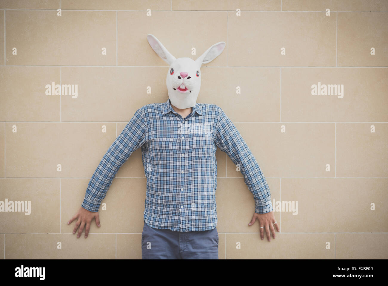 Trendy urban rabbit hi-res stock photography and images - Alamy