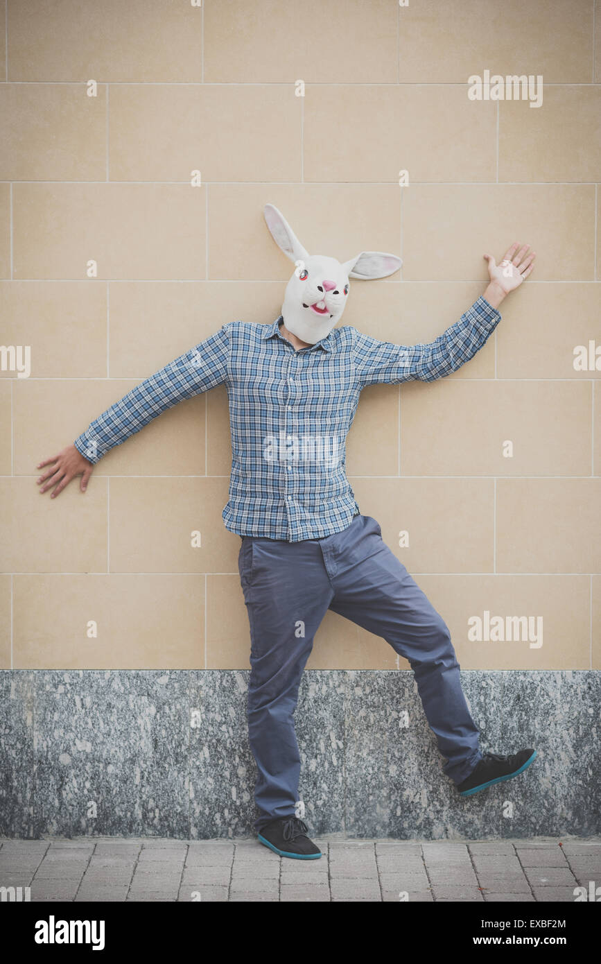 Trendy urban rabbit hi-res stock photography and images - Alamy