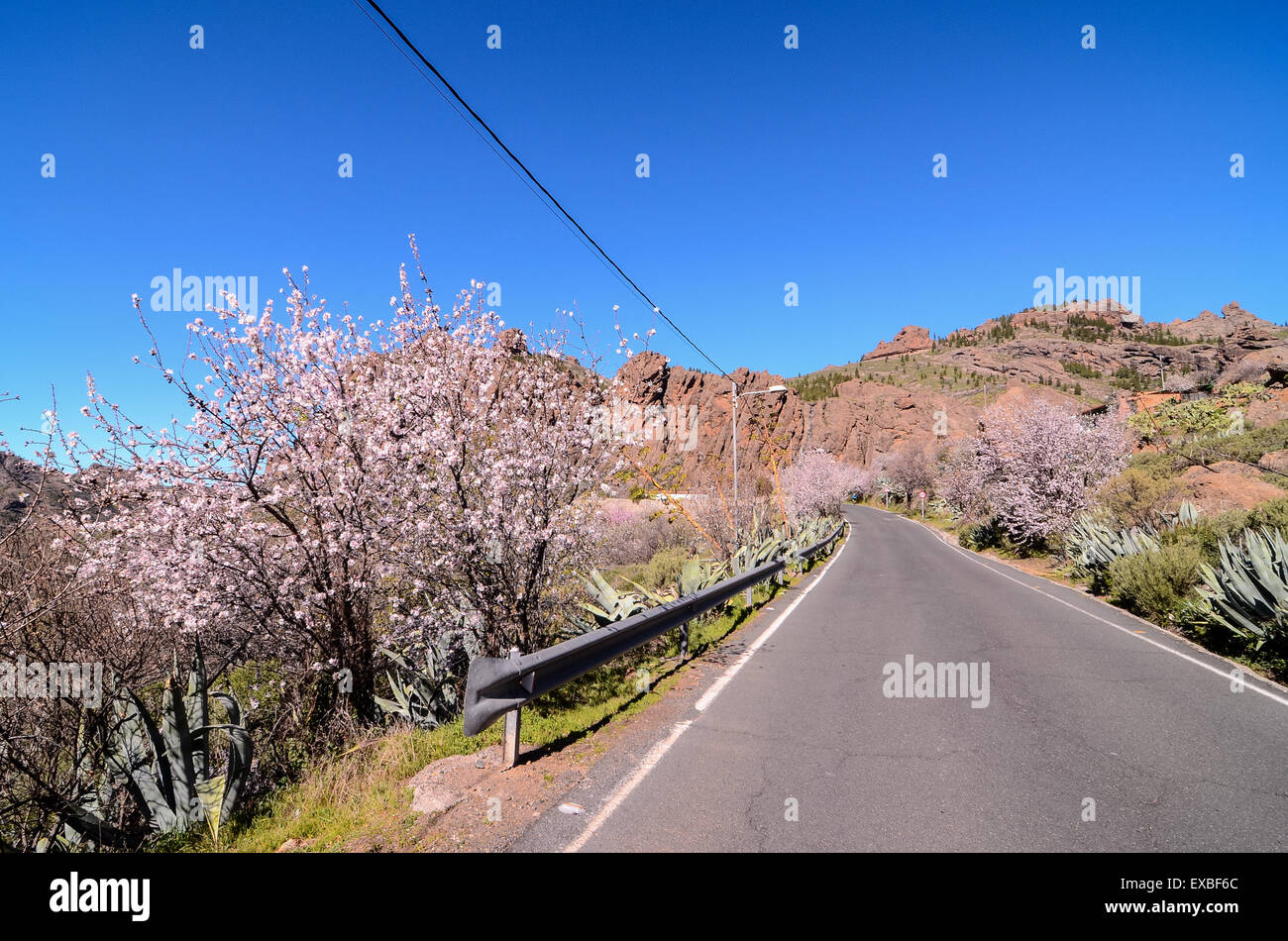 Long Lonely Road Stock Photo - Alamy