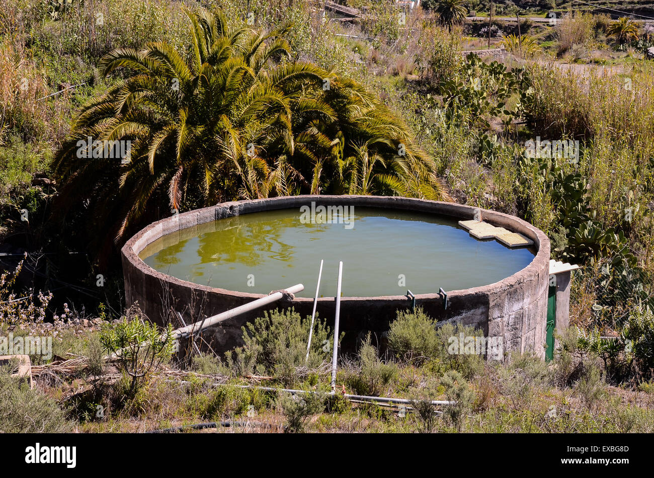 Round Water Pond Stock Photo - Alamy