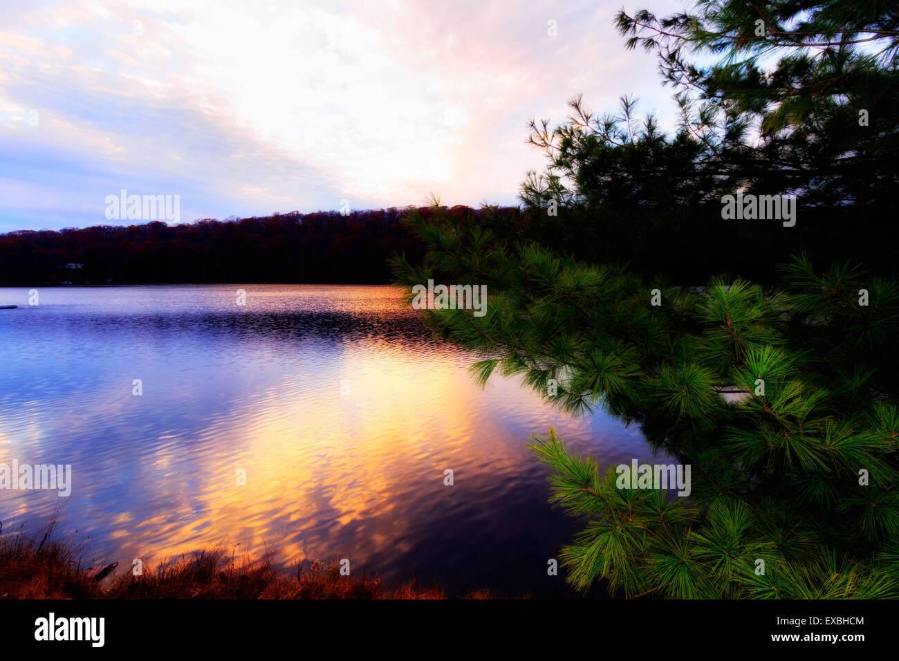 Beautiful view of sunset on the forest lake Stock Photo - Alamy
