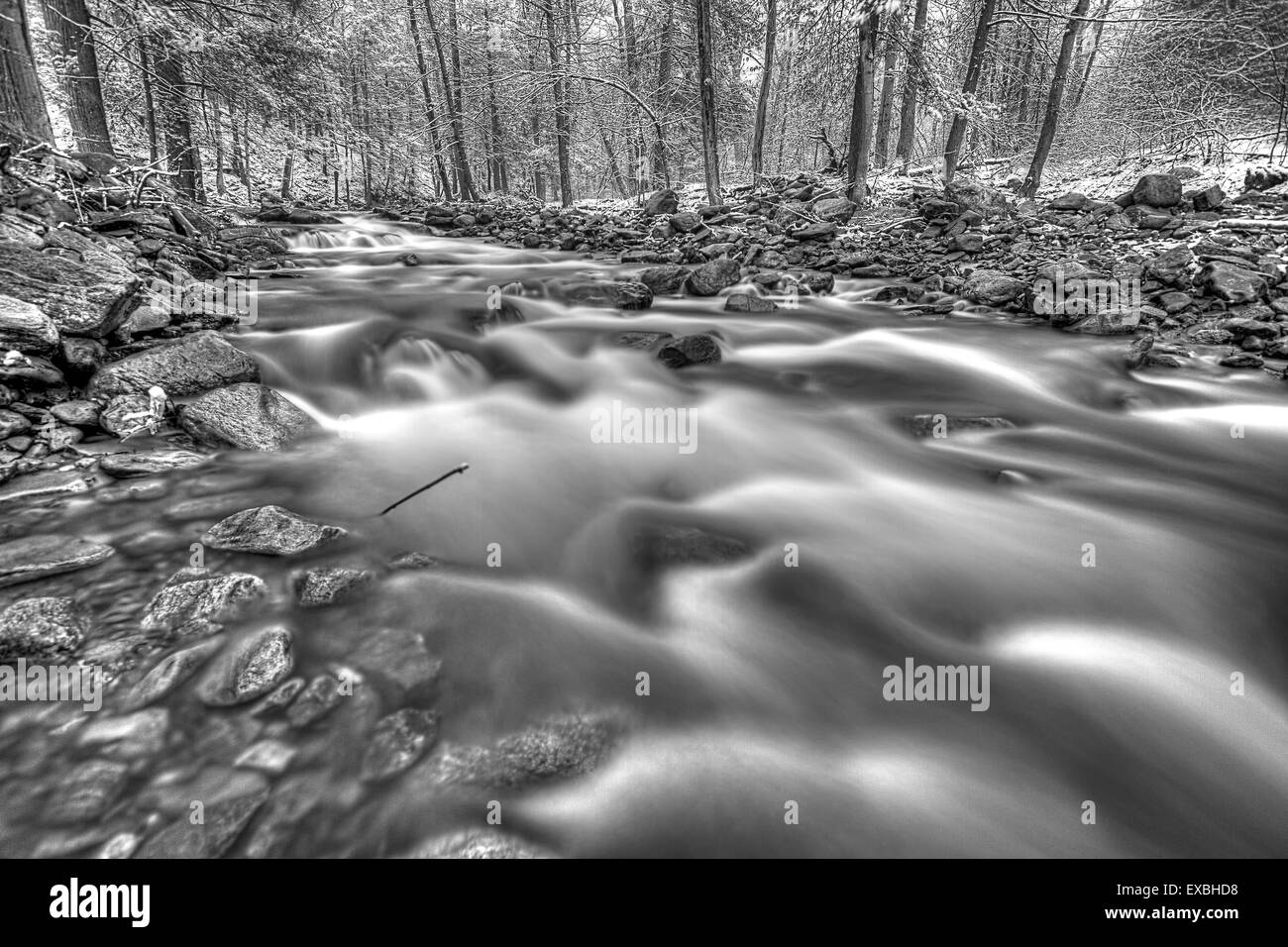 Beautiful view of the flowing forest creek Stock Photo - Alamy