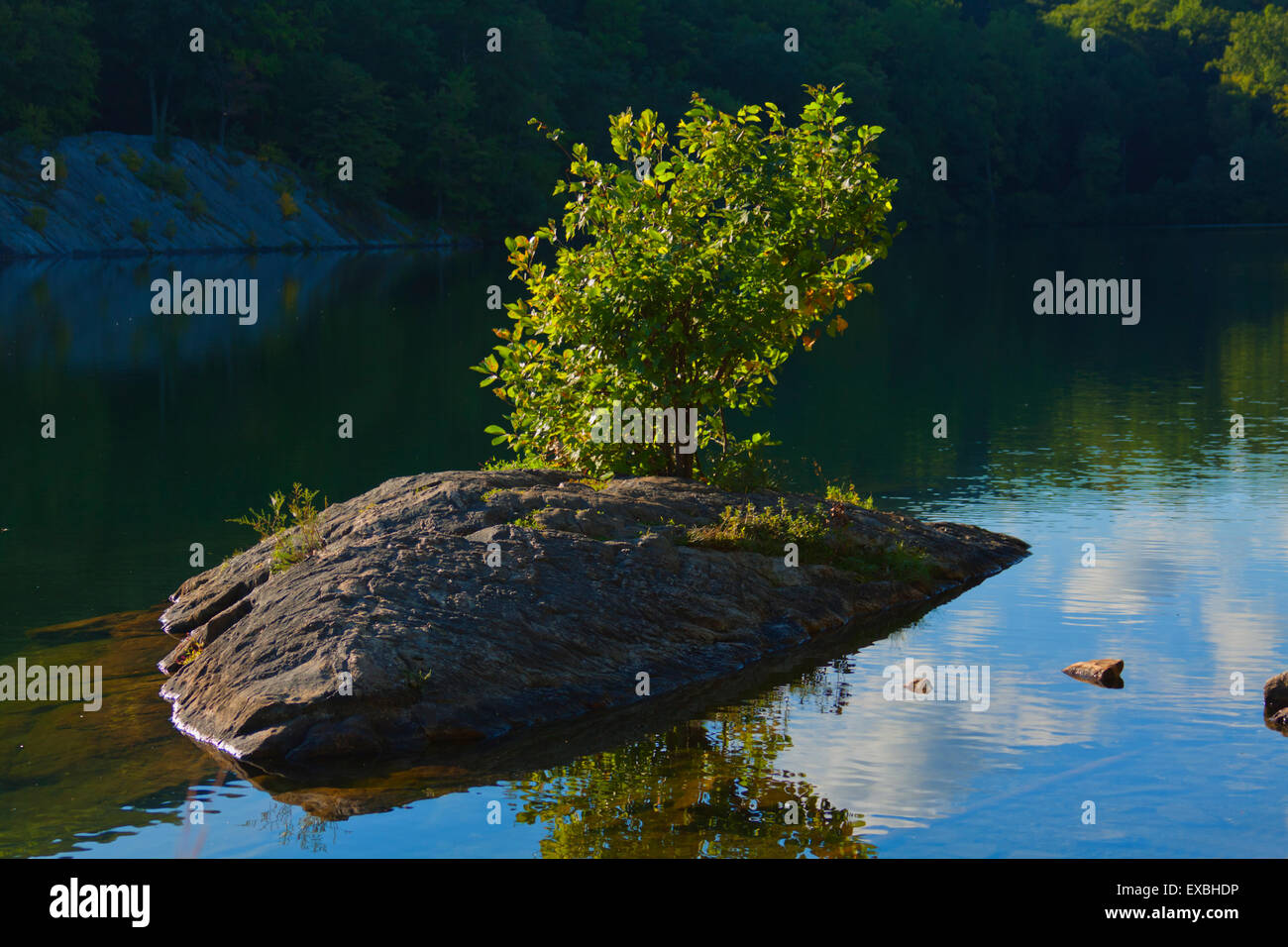 Beautiful view of sunset on the forest lake Stock Photo - Alamy