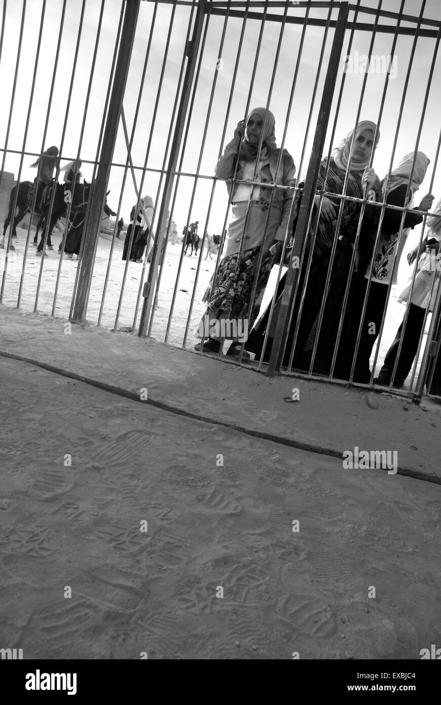 Arab woman and girls behind security fence,The Great Pyramid, Giza ...