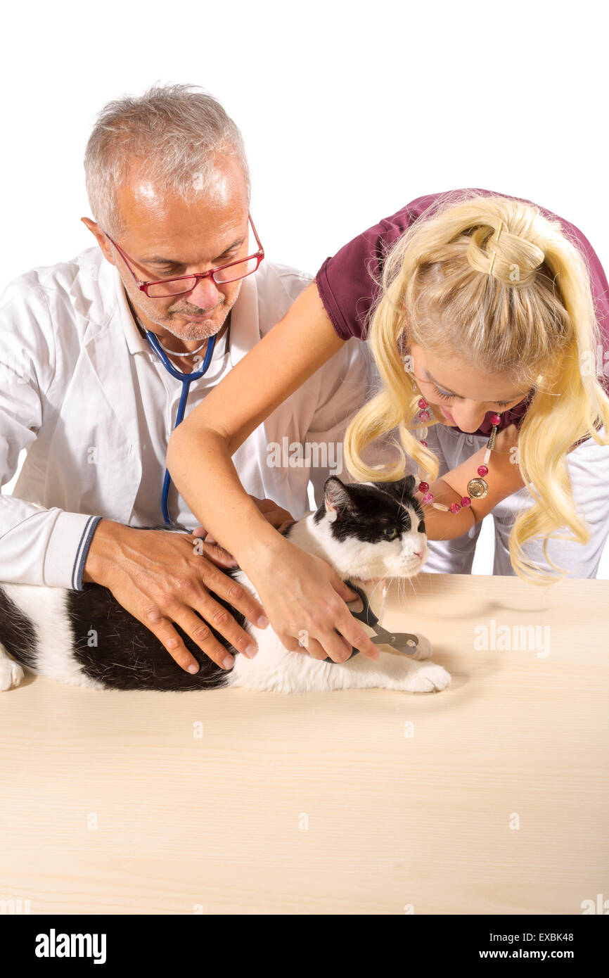 Trimming cat claws Stock Photo - Alamy